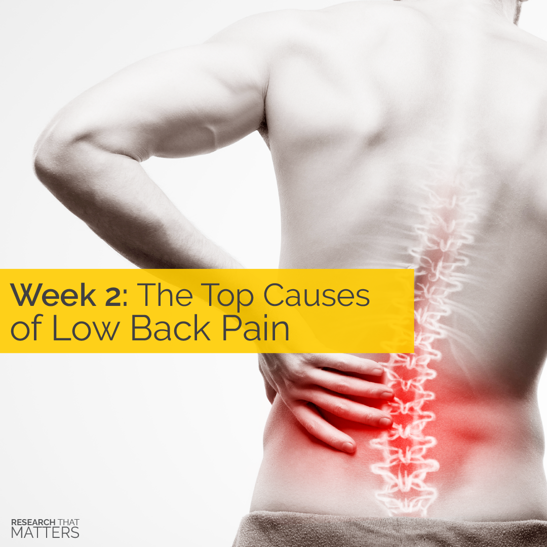 The Top Causes of Low Back Pain - Dr. Frank P. Antolcic - Pitt Meadows